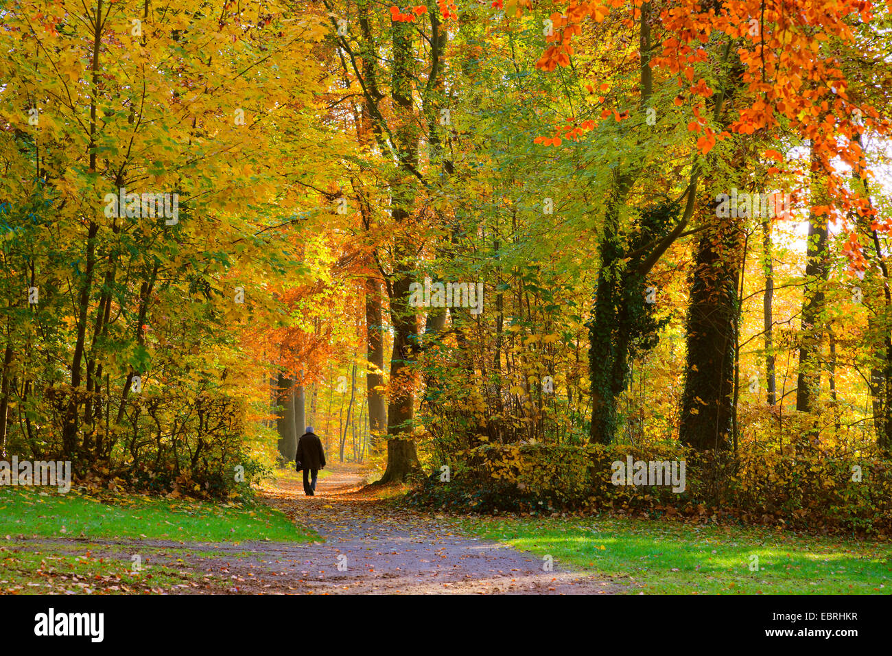 Walking Through The Autumn Trees High Resolution Stock Photography and ...
