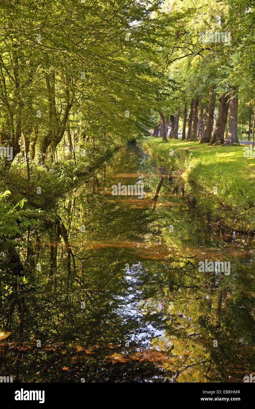 castle ditch at Castle Senden, Germany, North Rhine-Westphalia, Senden ...