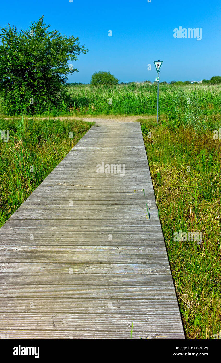 boarded footpath at the nature reserve Werderland, Germany, Bremen ...