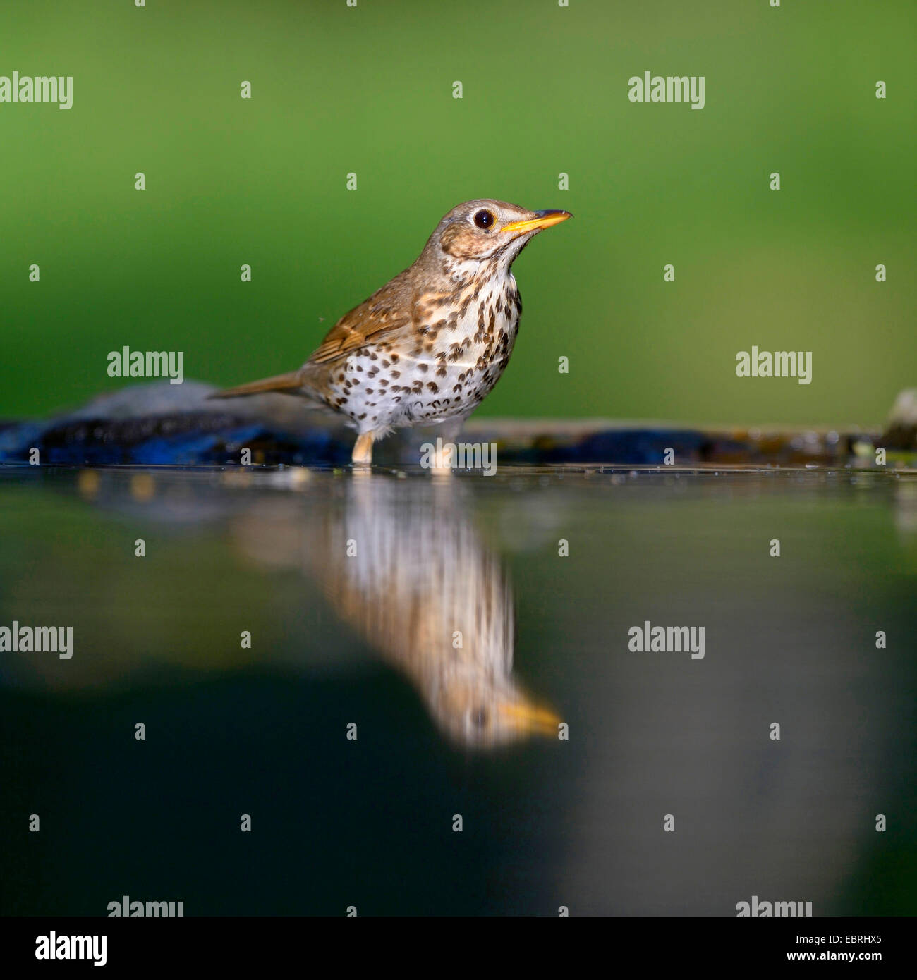 Cooling troughs hi-res stock photography and images - Alamy