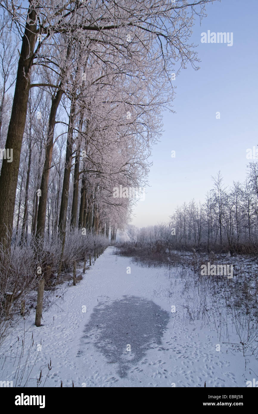 Belgium winter hi-res stock photography and images - Alamy