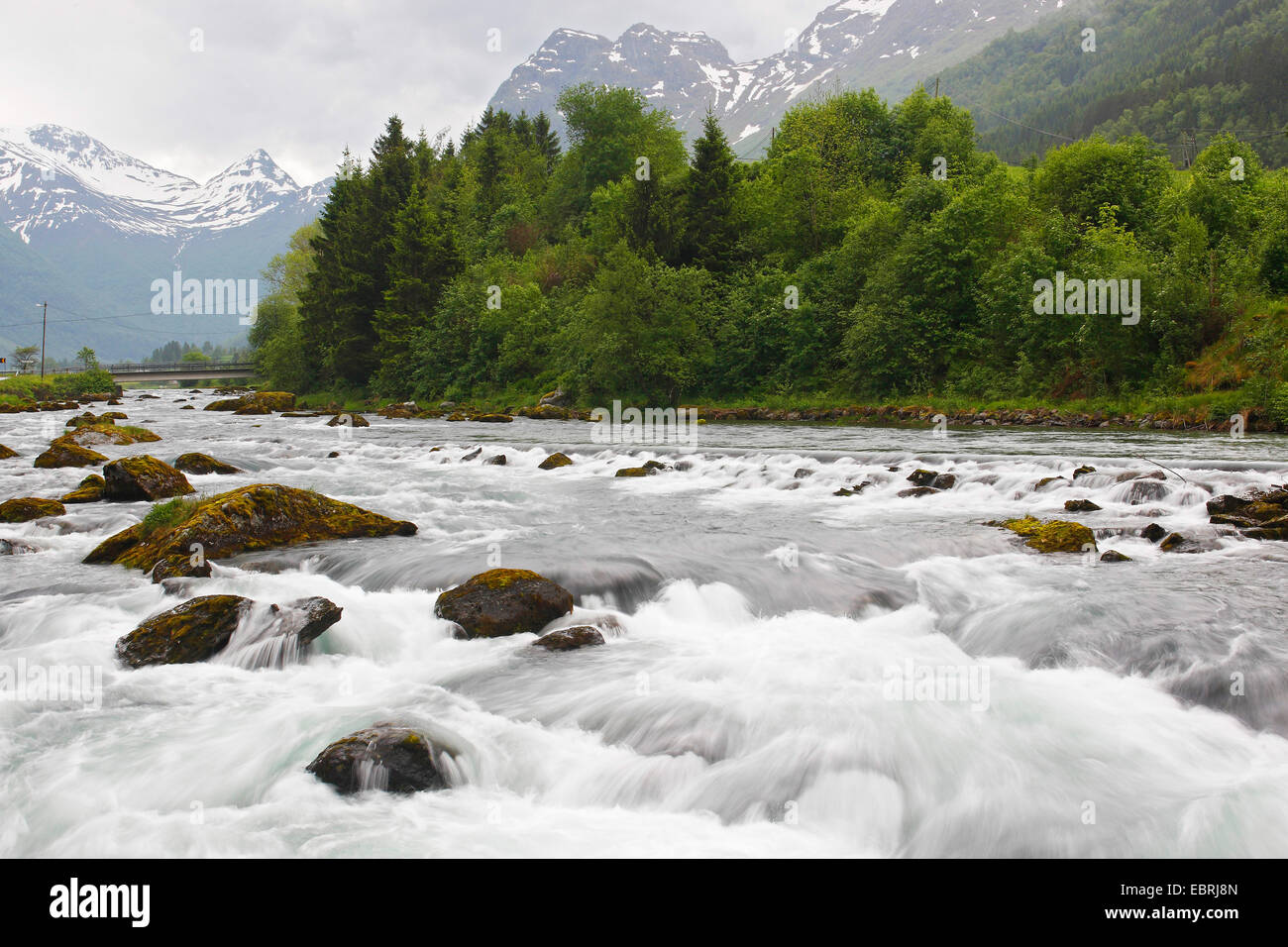 Alpine biotope with mountain creek hi-res stock photography and images ...