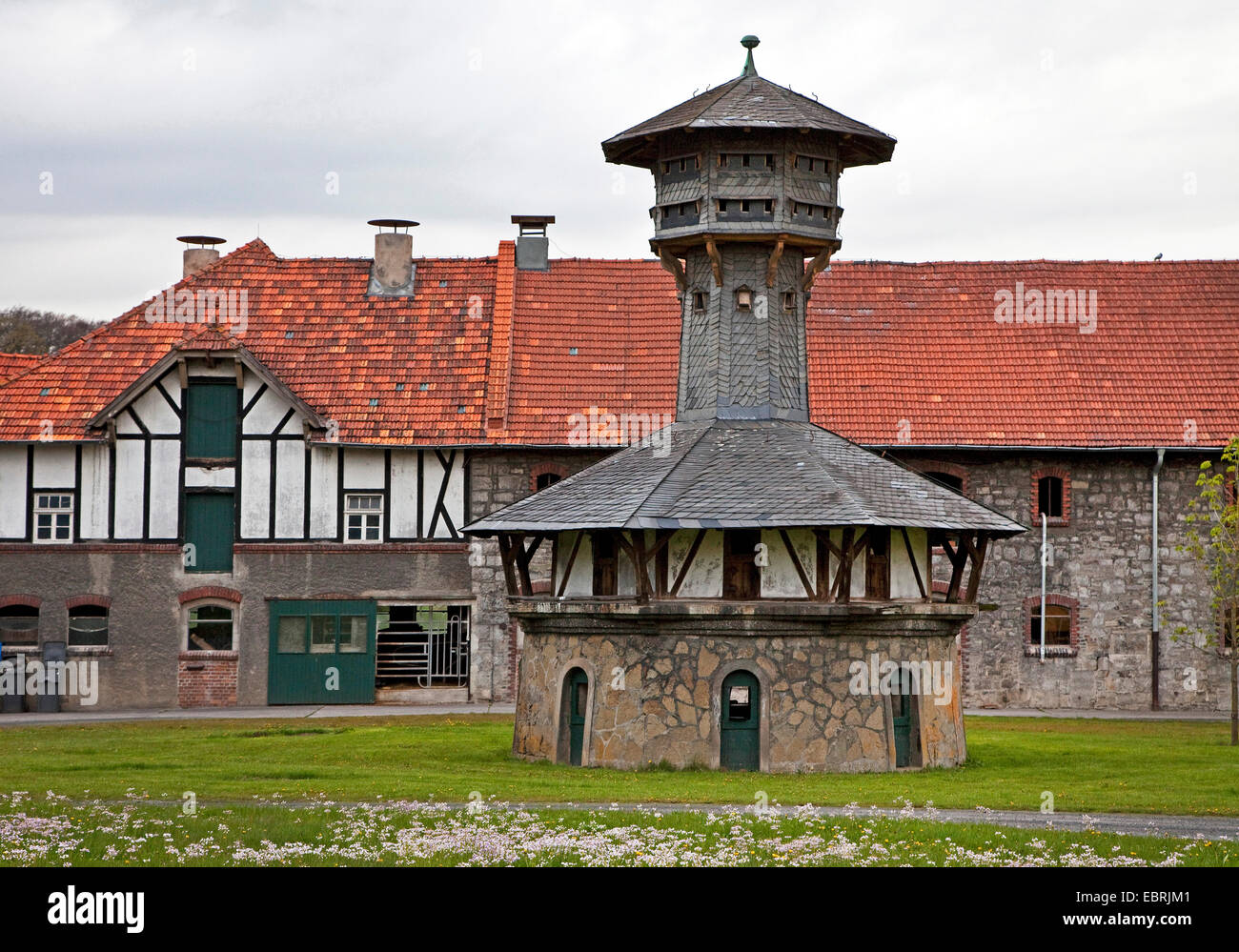 Dove house hi-res stock photography and images - Alamy