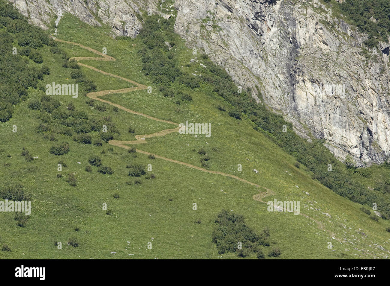 Alpine meadows with serpentine paths hi-res stock photography and ...