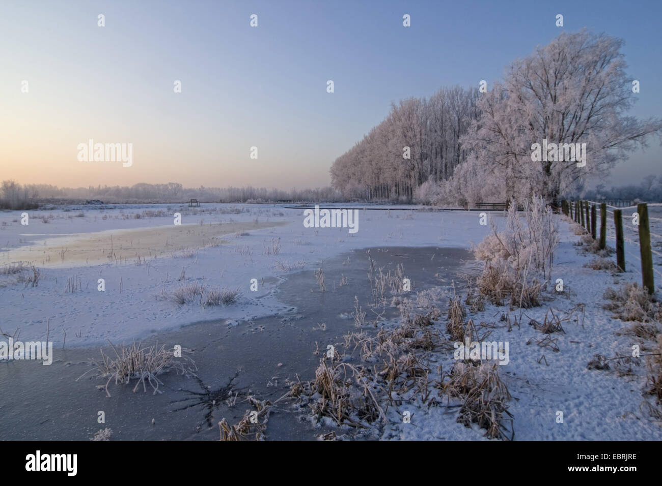 Scheldt Valley, Winter Scenery, Belgium, Flanders, Zingem Stock Photo ...