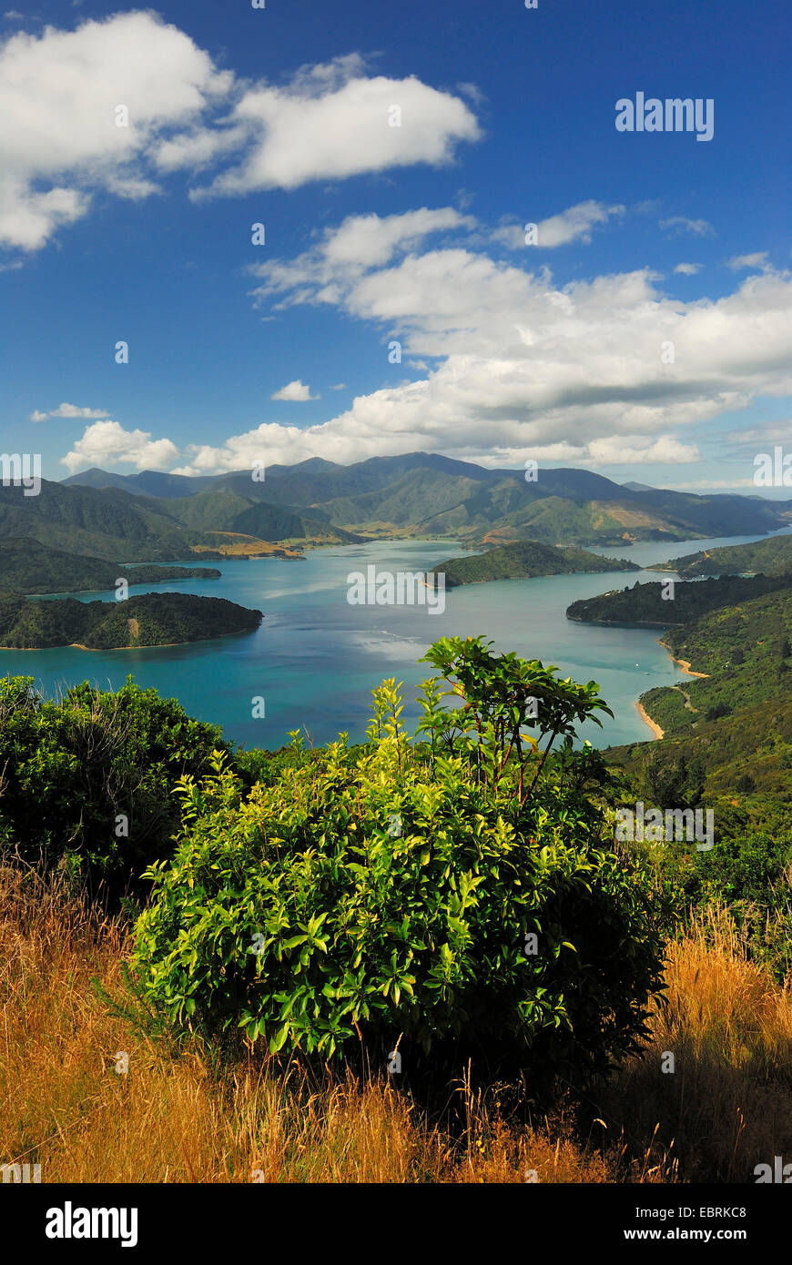 view from Onahau mountain to Kenepuru Sound, New Zealand, Southern ...