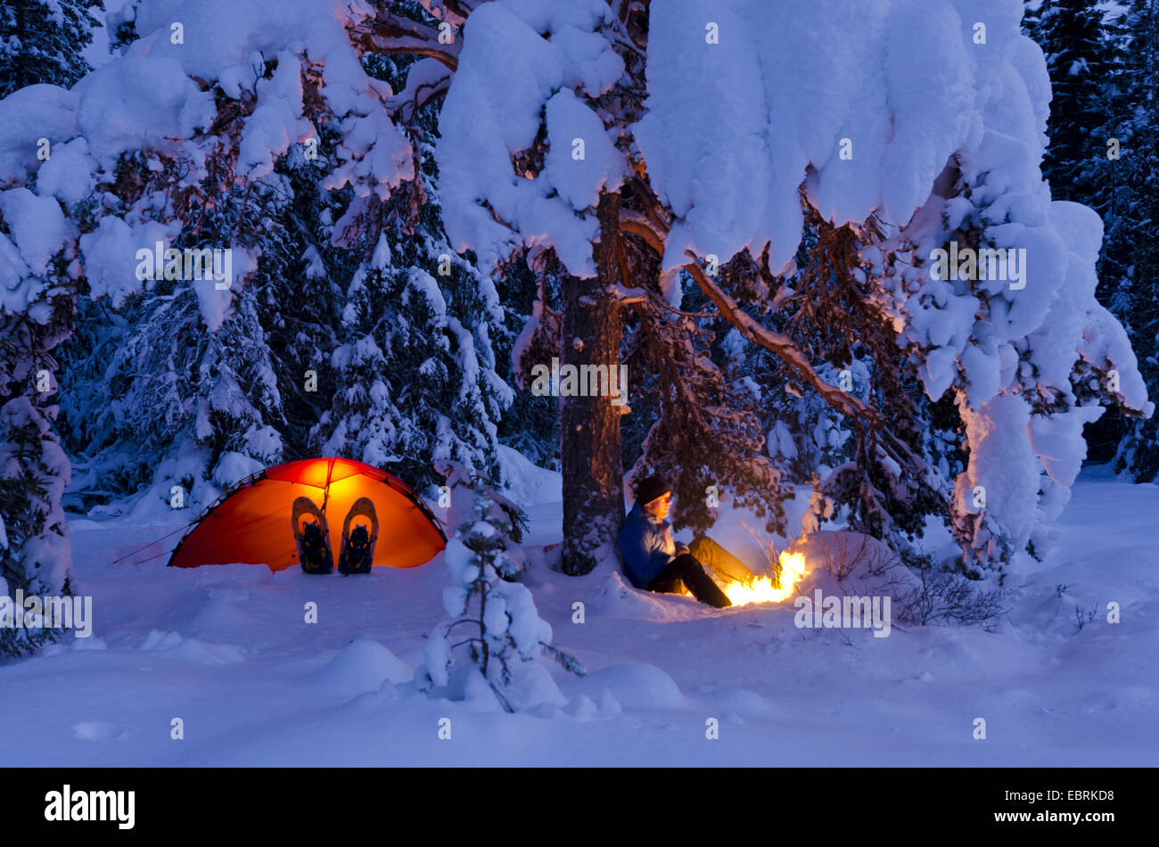 man in snowy landscape sitting at campfire under coniferous tree next ...