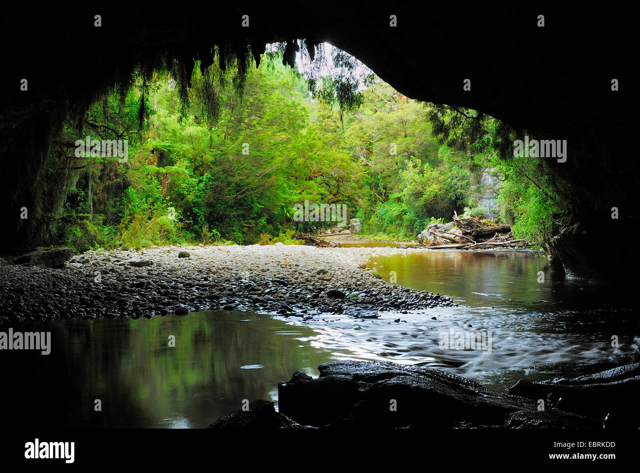 Oparara river bridge hi-res stock photography and images - Alamy