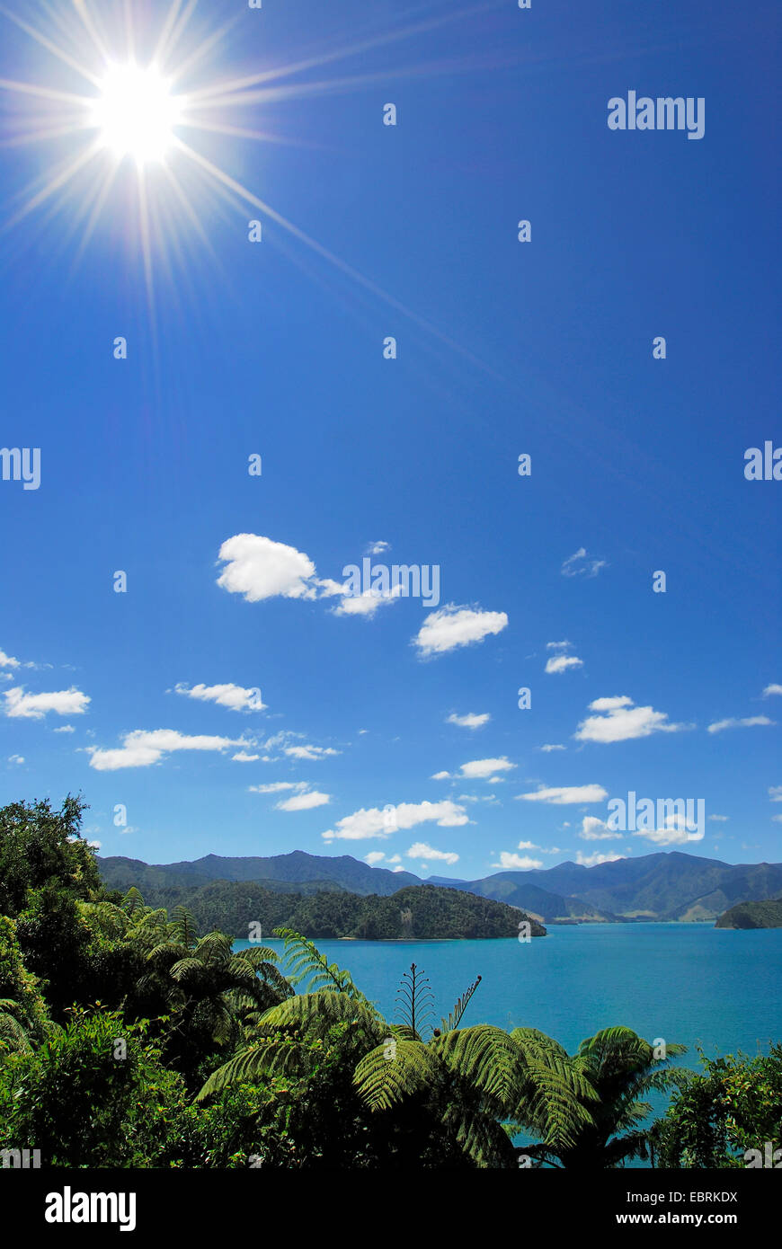 Kenepuru Sound, New Zealand, Southern Island, Marlborough Sounds ...