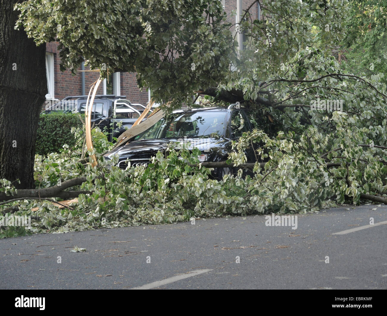 Vehicle tree fallen hi-res stock photography and images - Alamy