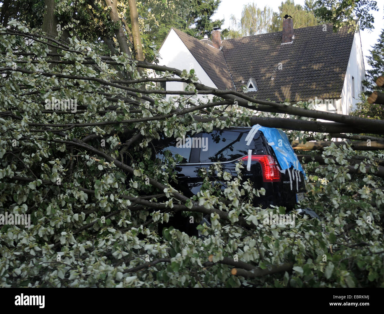 Car fallen tree hi-res stock photography and images - Alamy