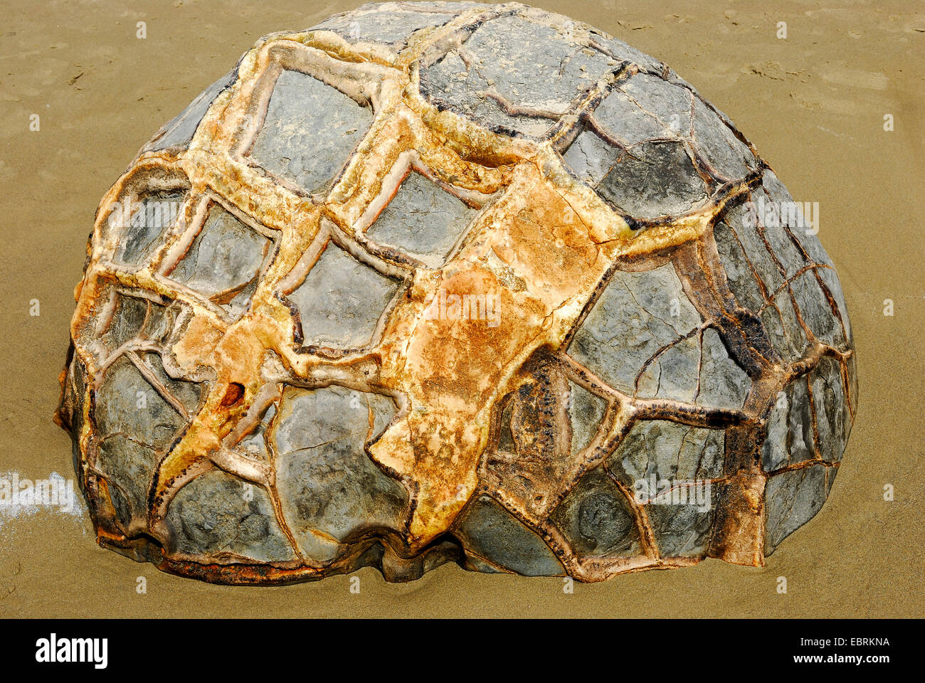 Moeraki Boulder with honeycomb structure at the Koekohe Beach, New ...