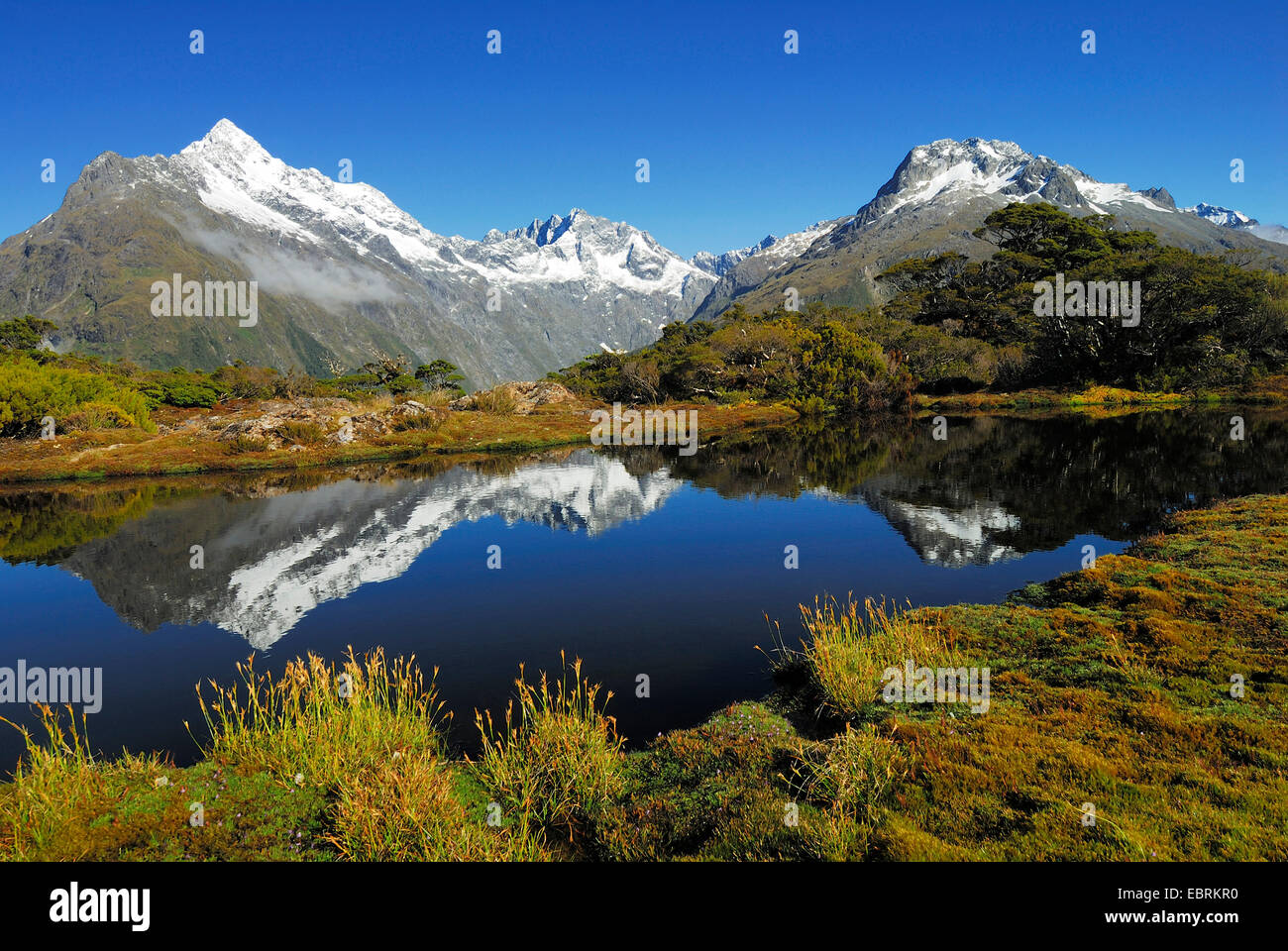 view from Key Summit to Mount Christina, New Zealand, Southern Island ...