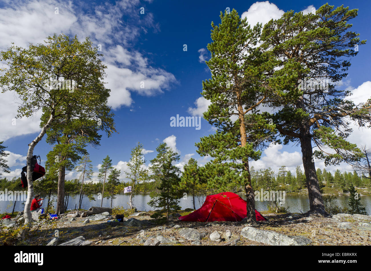 camping at a lakefront, Sweden, Haerjedalen, Rogen Naturreservat Stock ...