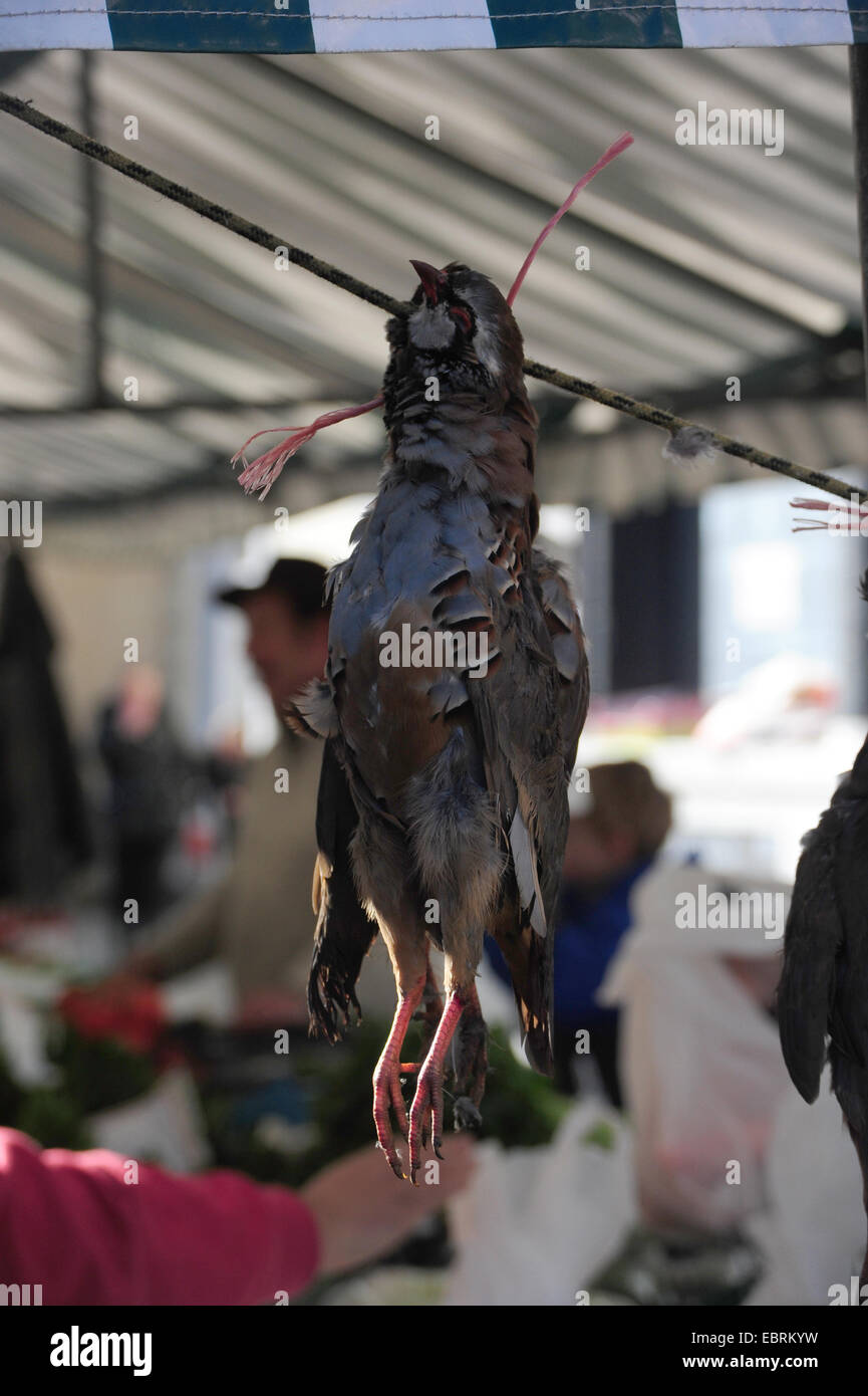 Partridge meat hi-res stock photography and images - Alamy