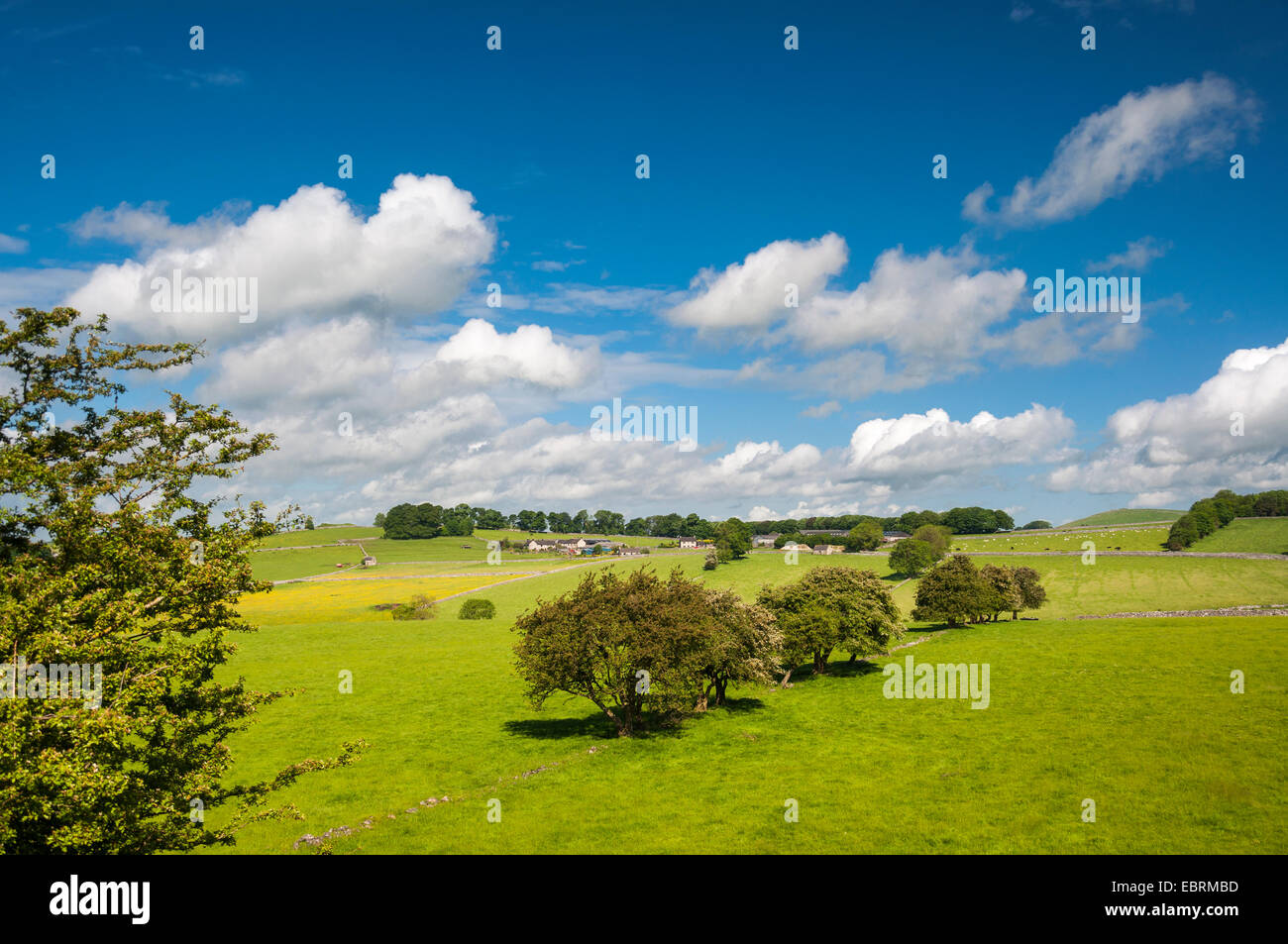 English summer landscape hi-res stock photography and images - Alamy