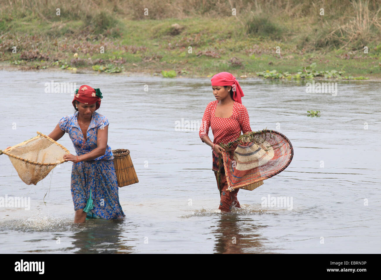 two fishing women in the Rapti River, Nepal, Terai, Chitwan National ...