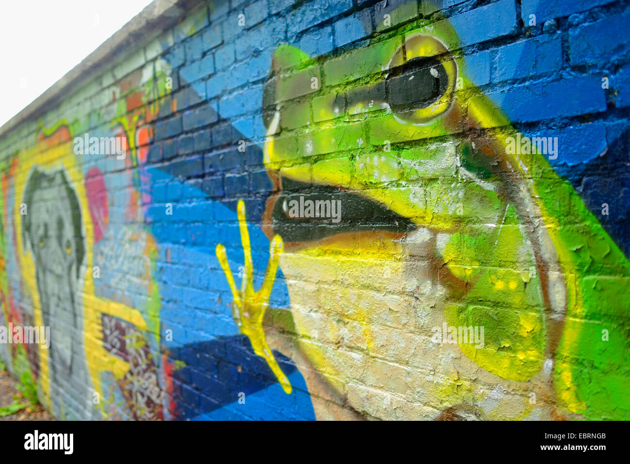 frog as a graffiti on a wall , Germany, Bavaria, Stein Stock Photo - Alamy