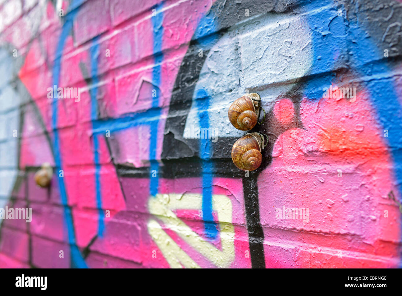 Graffitis on wall hi-res stock photography and images - Alamy