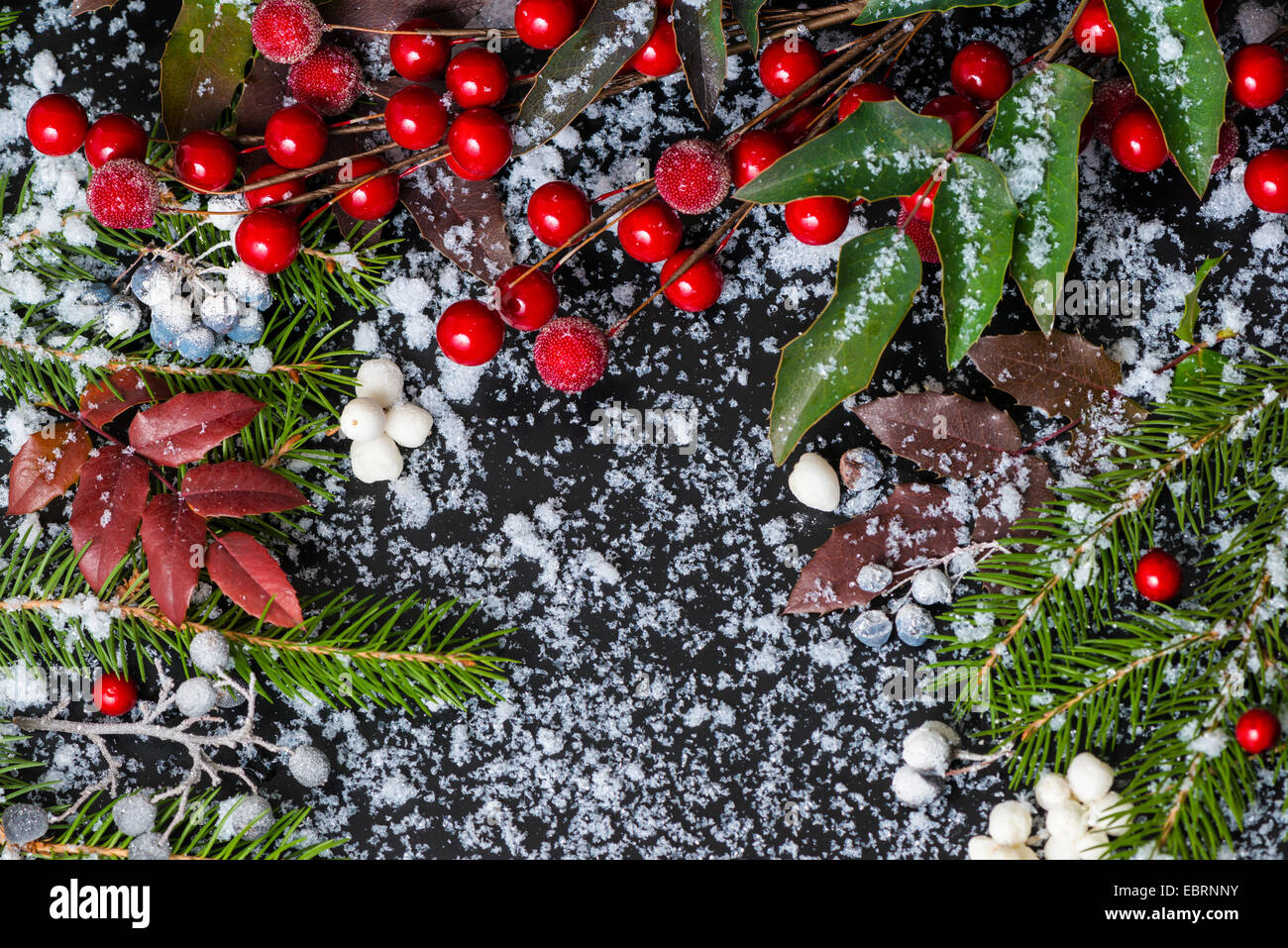 Holy tree winter hi-res stock photography and images - Alamy