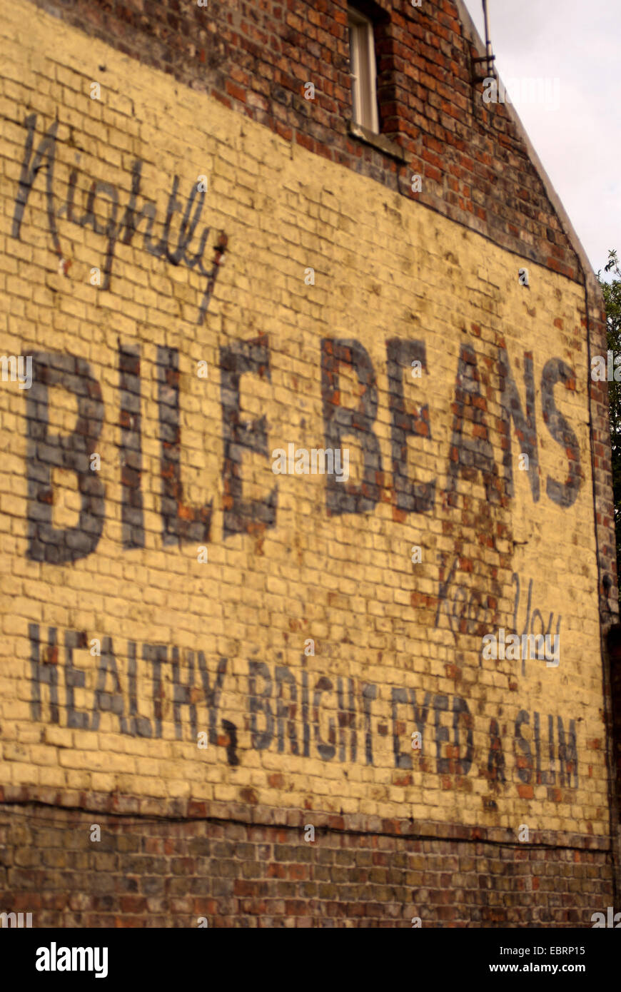 Bile beans york hi-res stock photography and images - Alamy