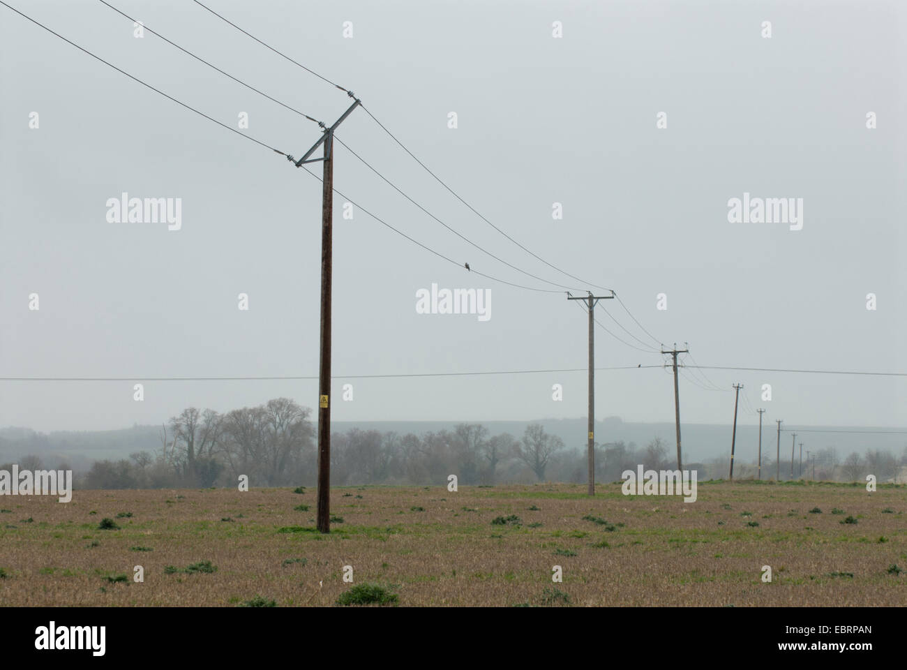 Low tension lines hi-res stock photography and images - Alamy