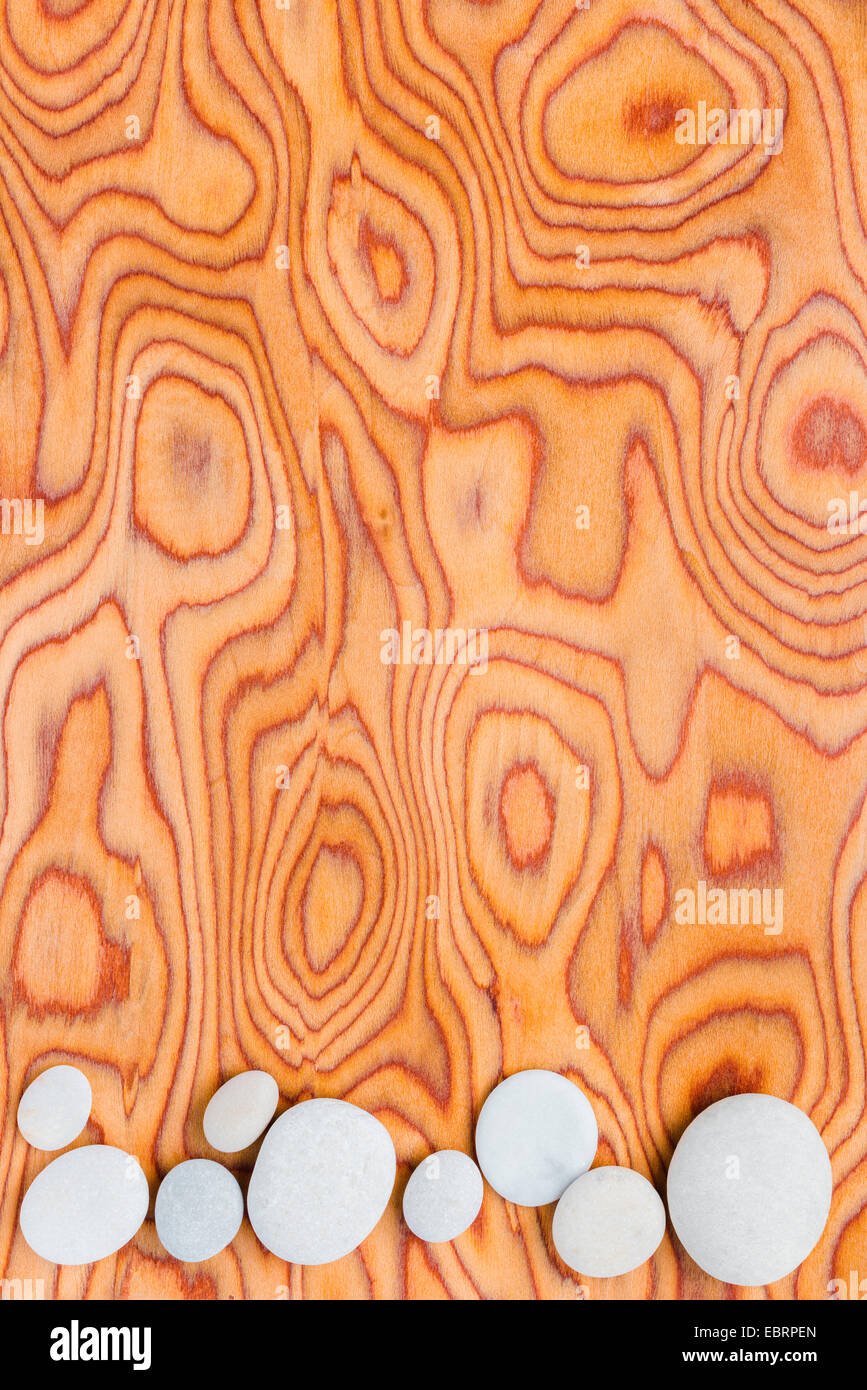 pebbles framed roots texture, natural tree background Stock Photo - Alamy