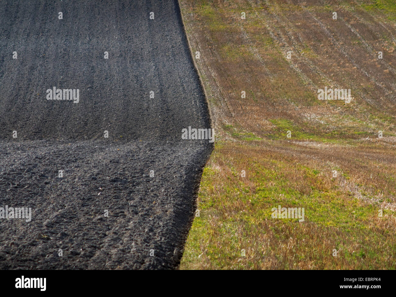 Stubble and mud in half ploughed field Stock Photo - Alamy