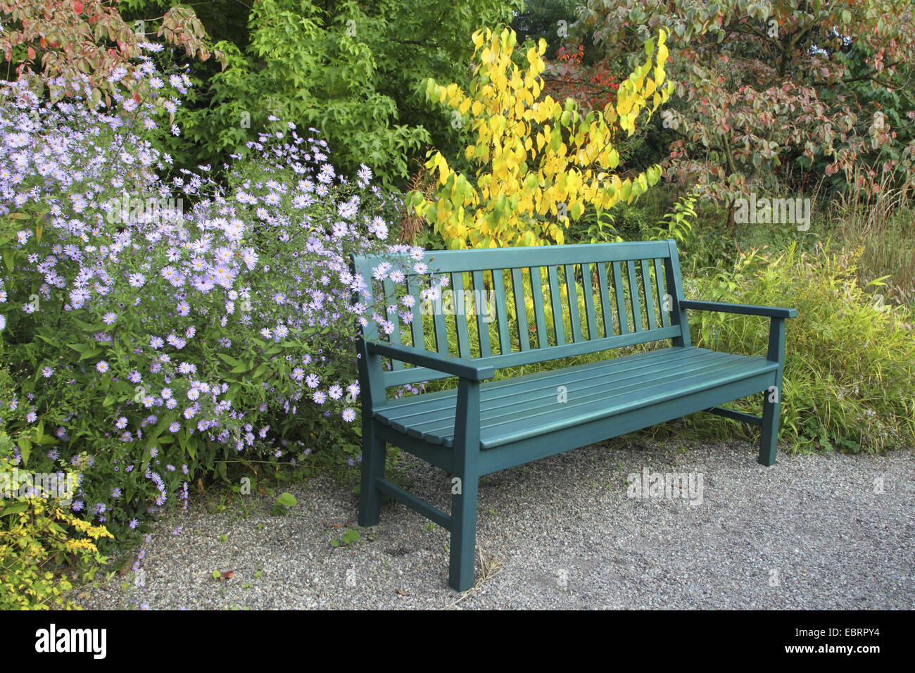 garden bench in autumn, Germany Stock Photo - Alamy