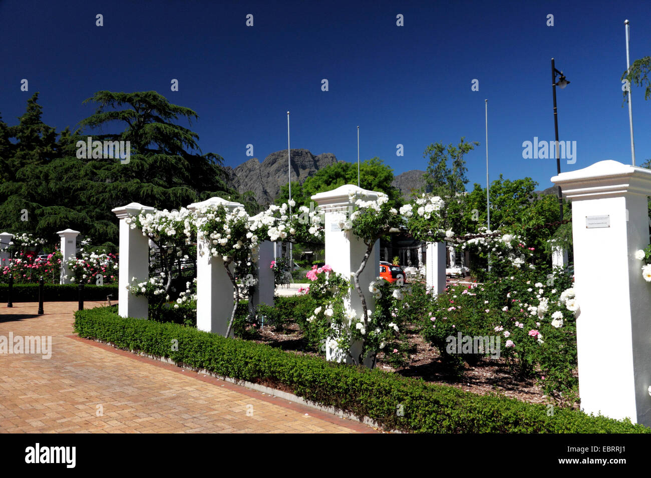 Interspersed hi-res stock photography and images - Alamy