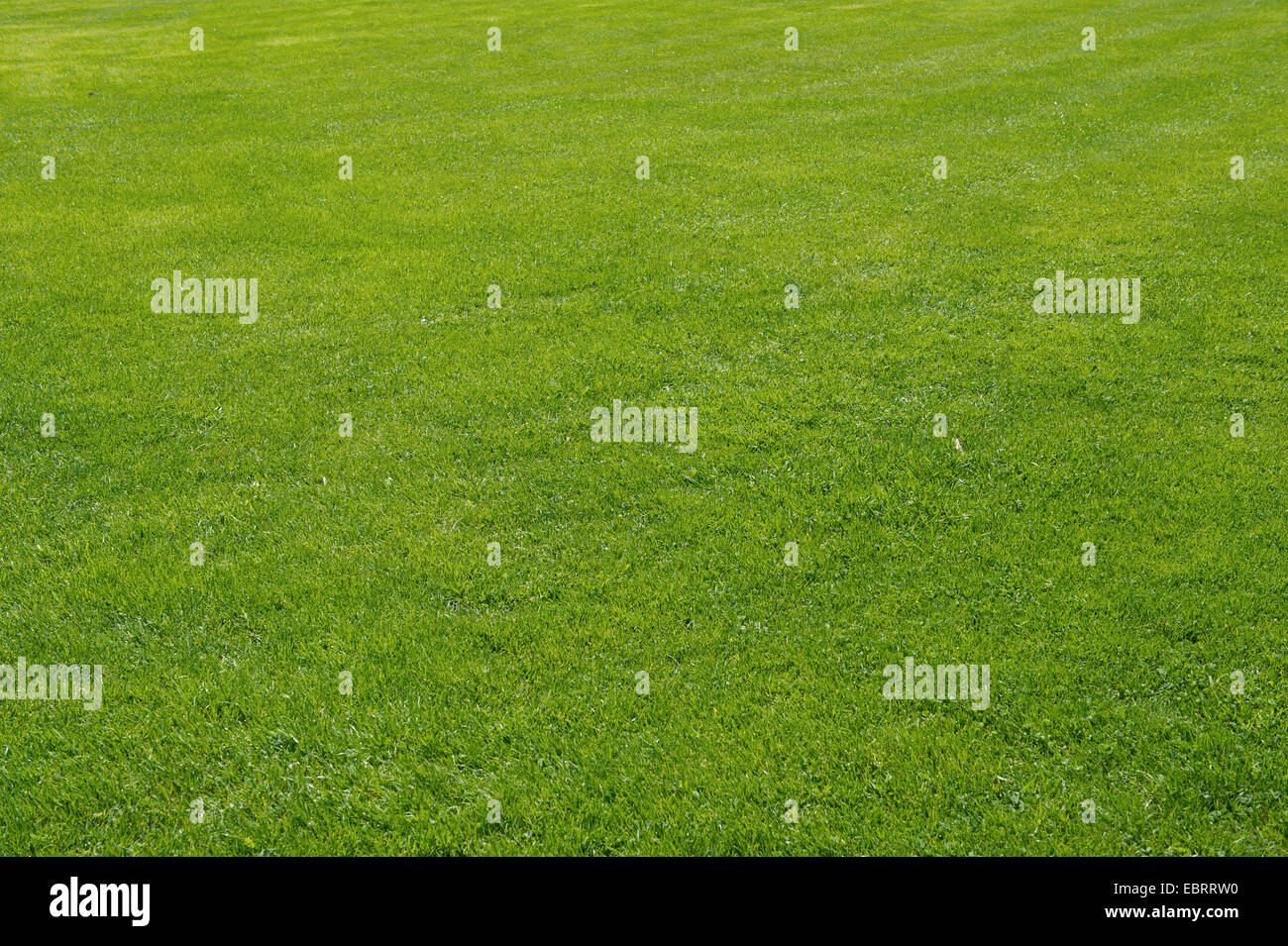 Well kept hi-res stock photography and images - Alamy