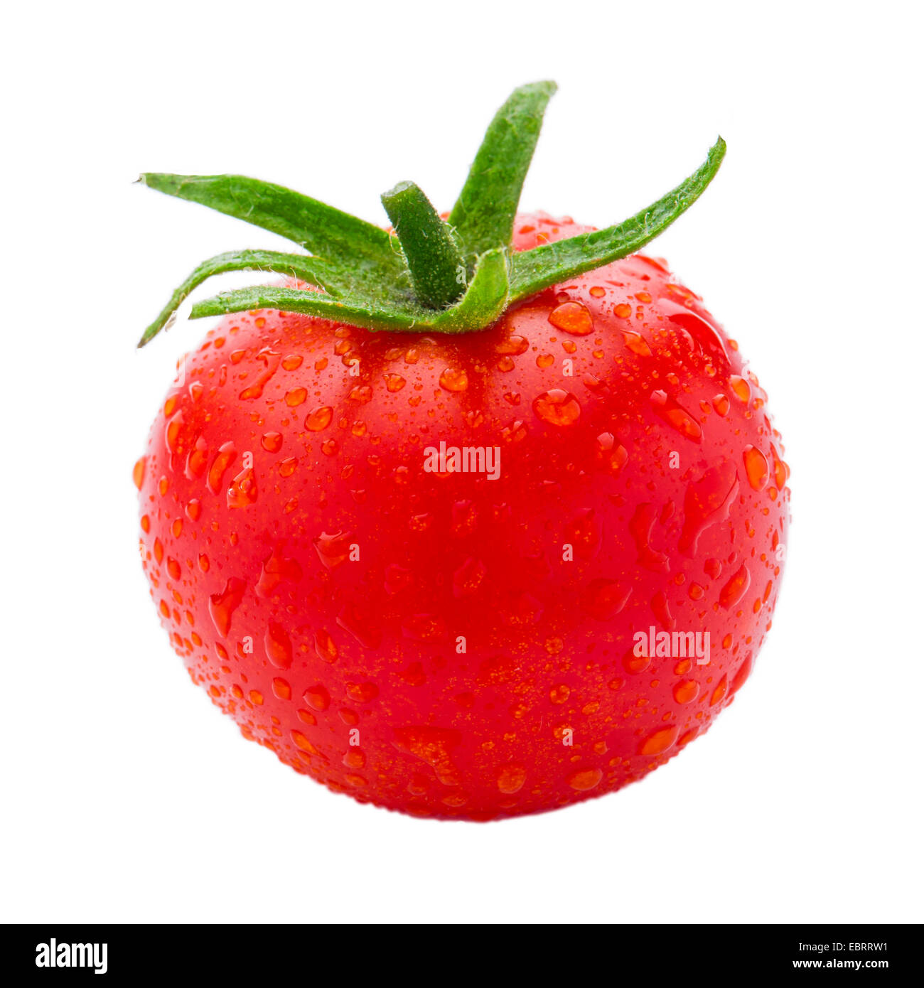 garden tomato (Solanum lycopersicum, Lycopersicon esculentum), fresh ...