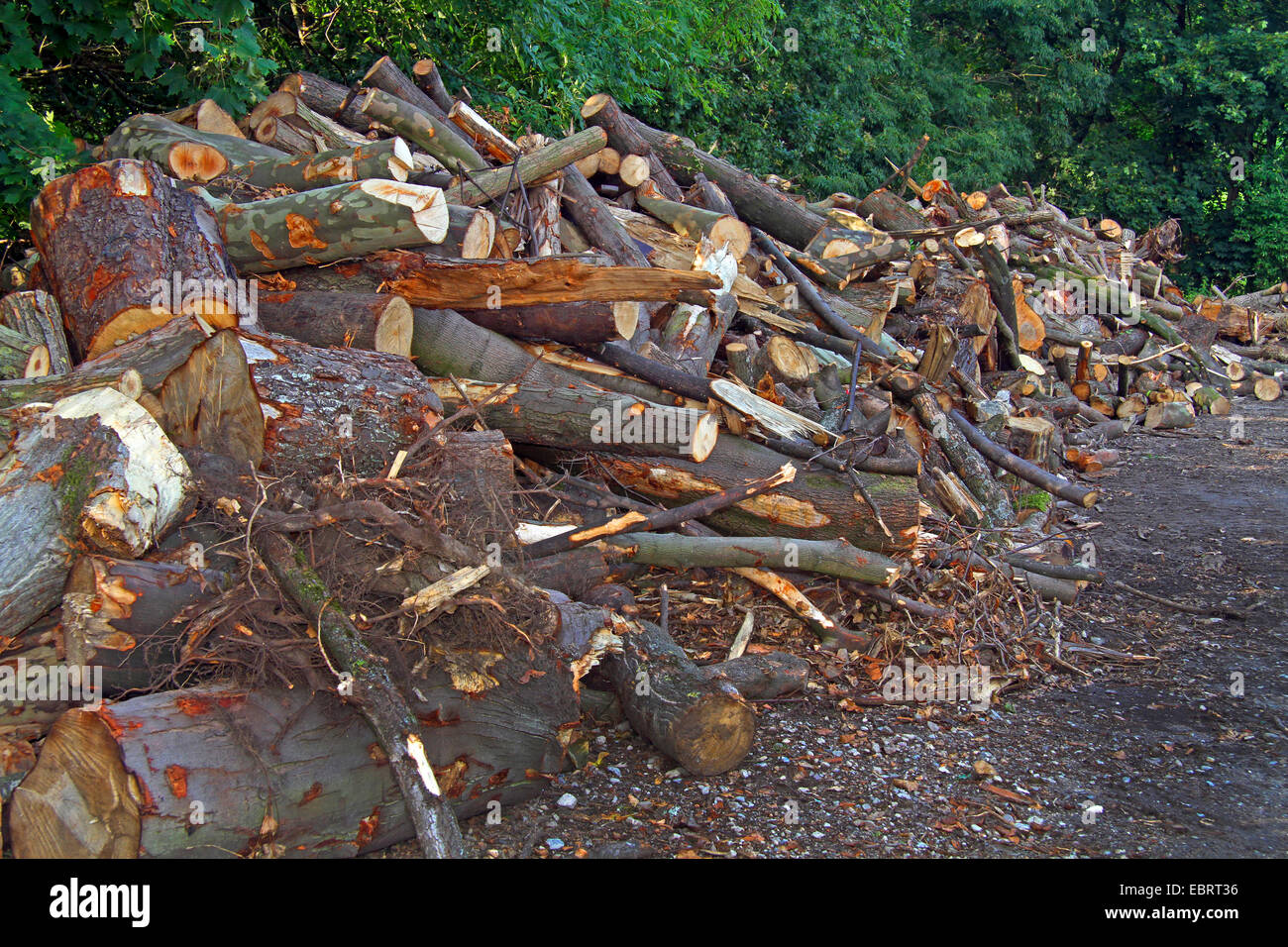 Stacking timber hi-res stock photography and images - Alamy