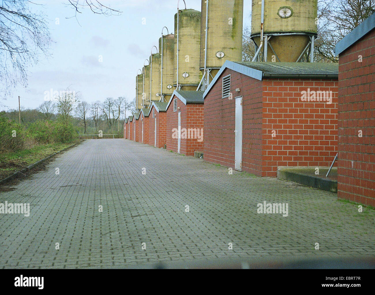 , exterior view of chicken farming, Germany Stock Photo - Alamy