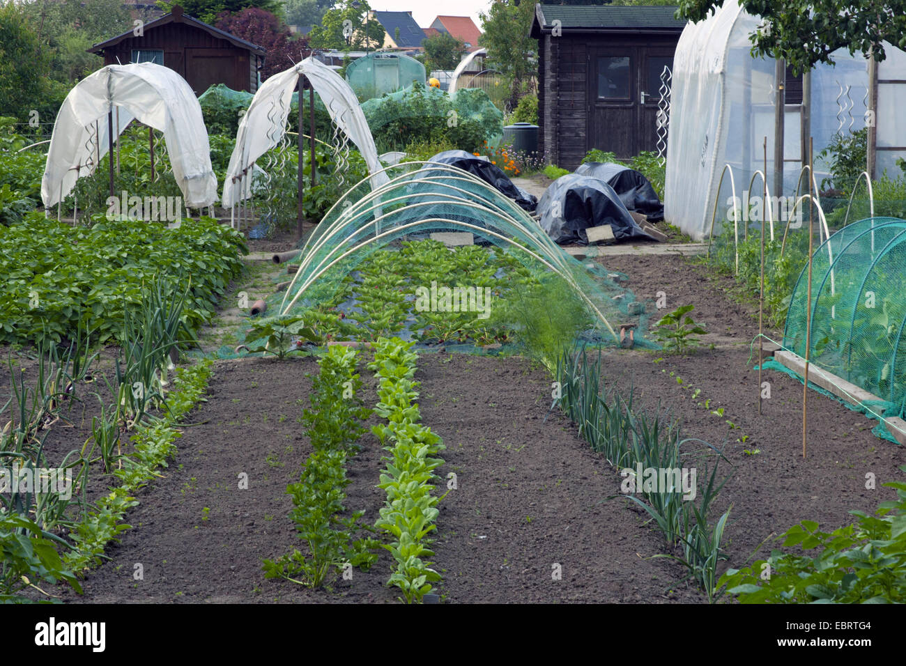 Garden net hi-res stock photography and images - Alamy