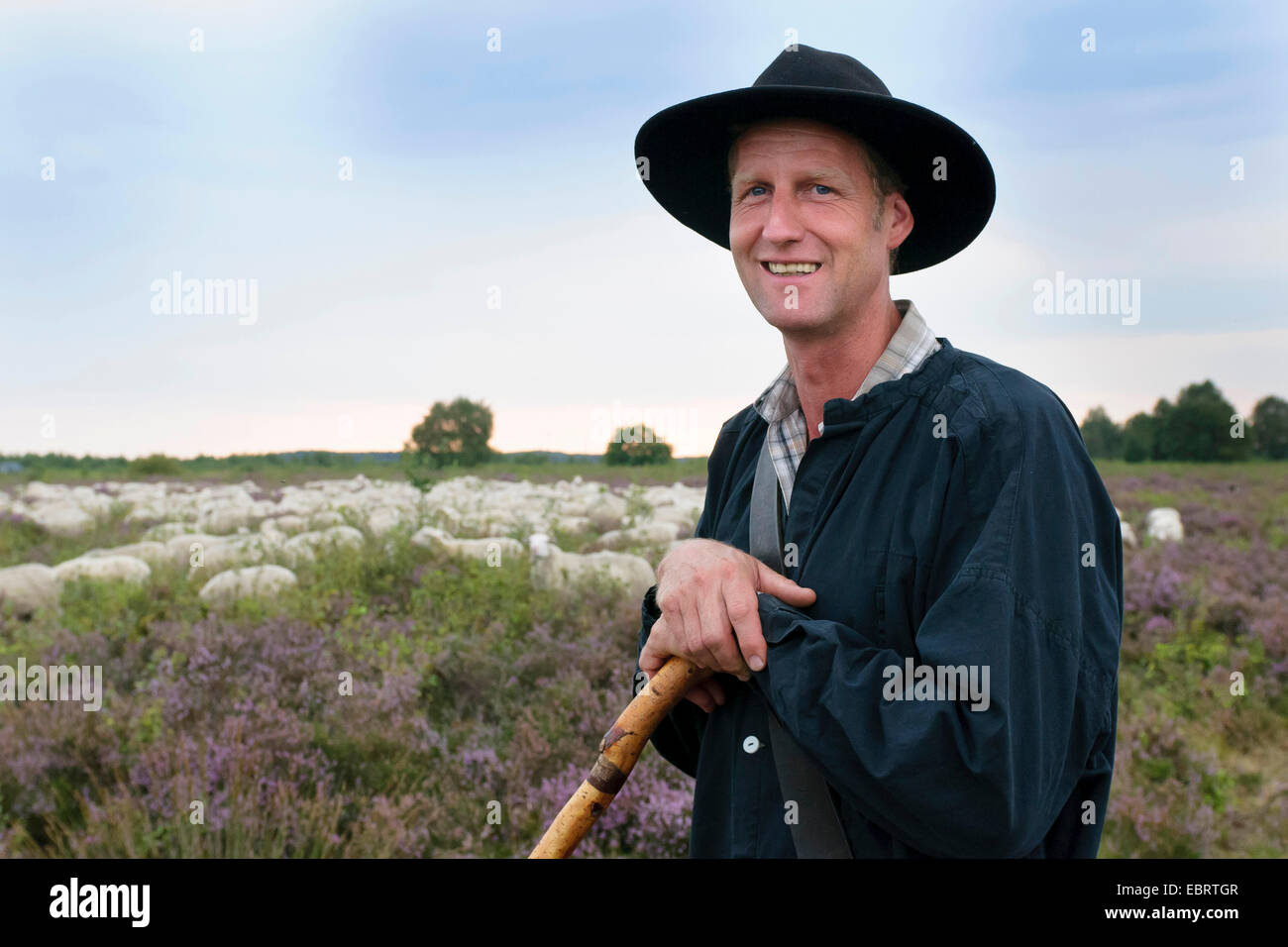 Hornless hi-res stock photography and images - Alamy