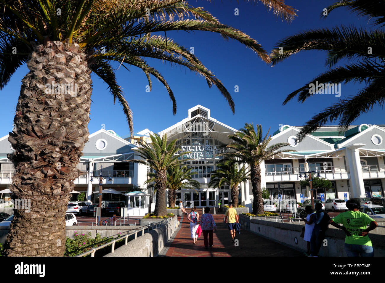 A modern shopping mall entrance framed by palm trees Stock Photo - Alamy
