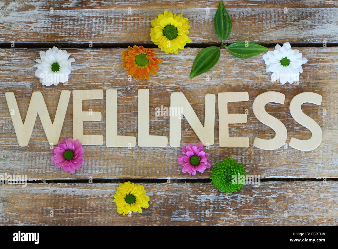 Wellness written with wooden letters and santini flowers on rustic ...