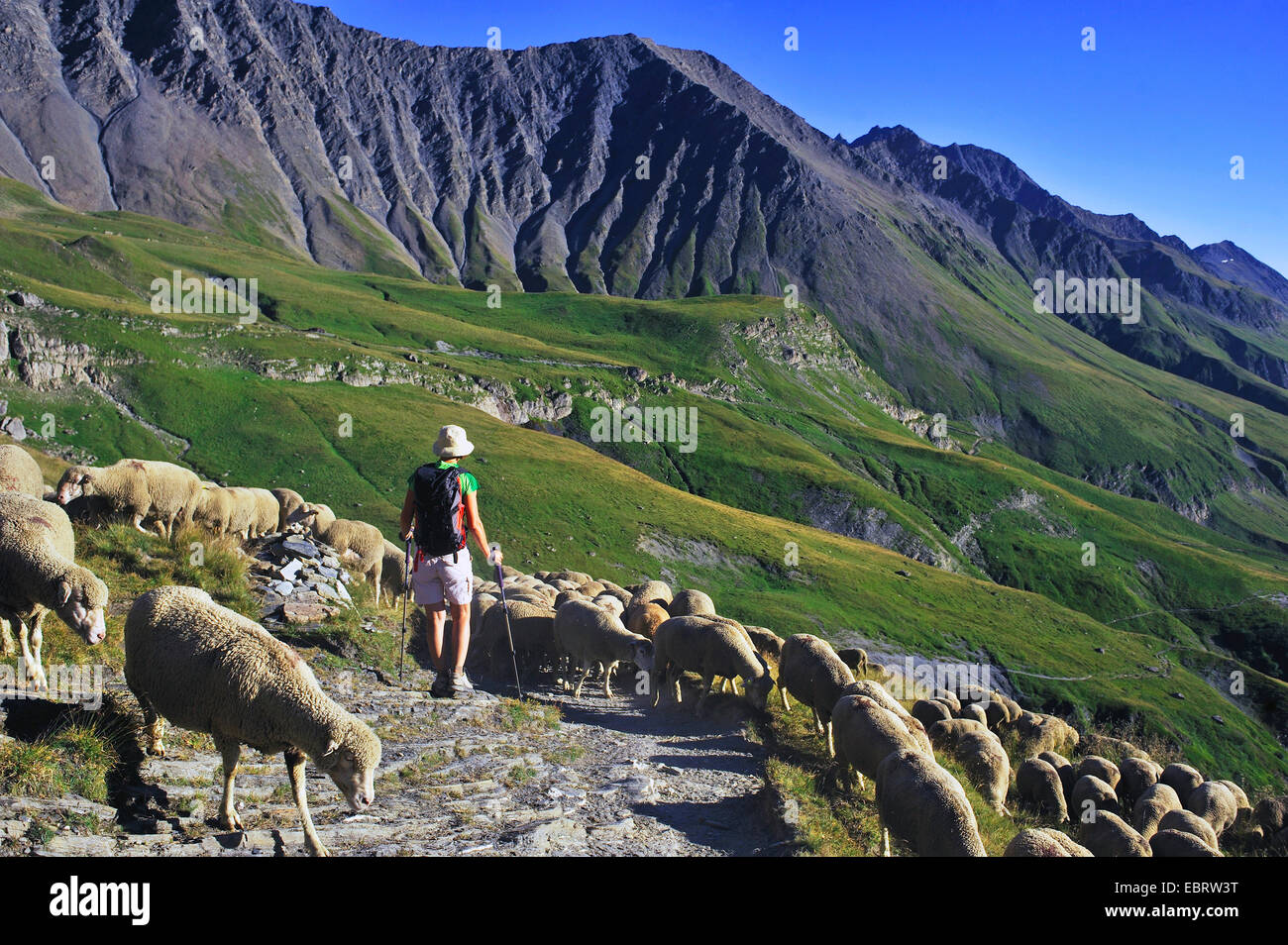 M maurice High Resolution Stock Photography and Images - Alamy