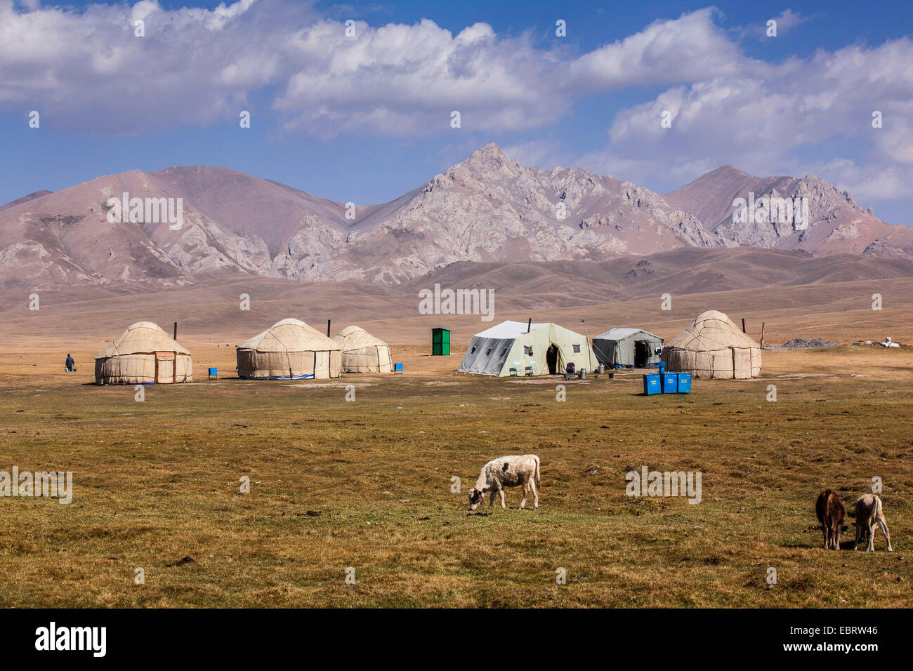 yurts in the steppe, mountain range in background, Kyrgyzstan, Lake ...