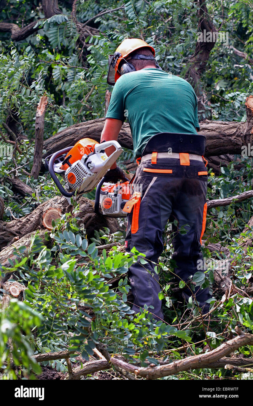 Timber cutter hi-res stock photography and images - Alamy