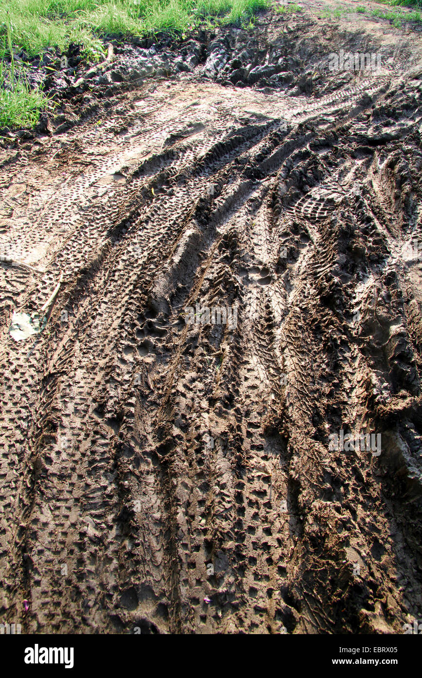 Mud ruts hi-res stock photography and images - Alamy