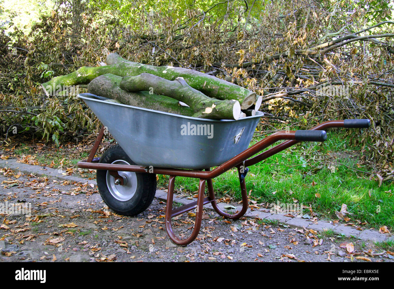 hand barrow with firewood, Germany Stock Photo - Alamy