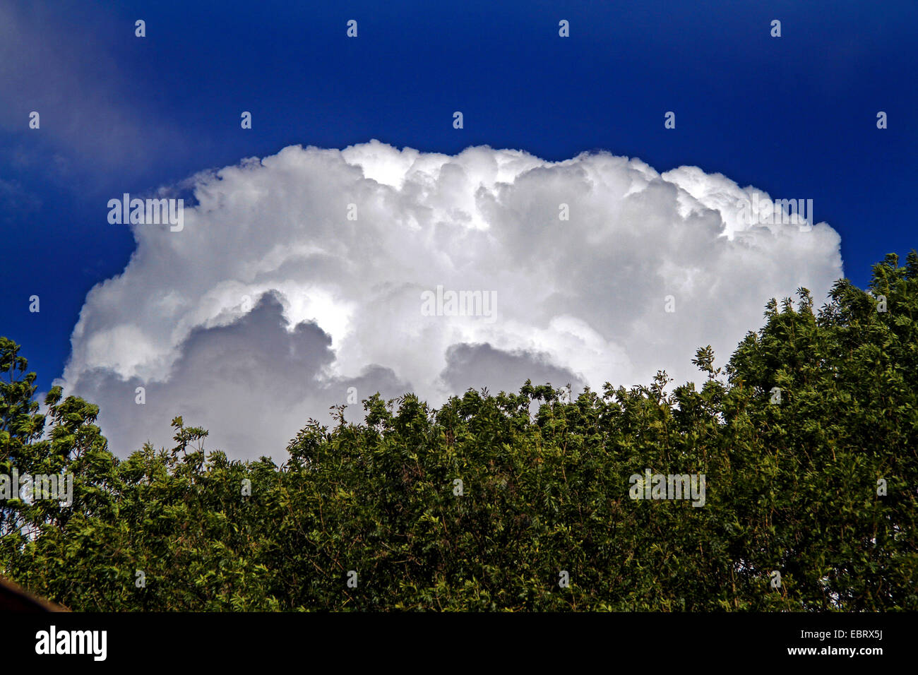 Cloud wood hi-res stock photography and images - Alamy