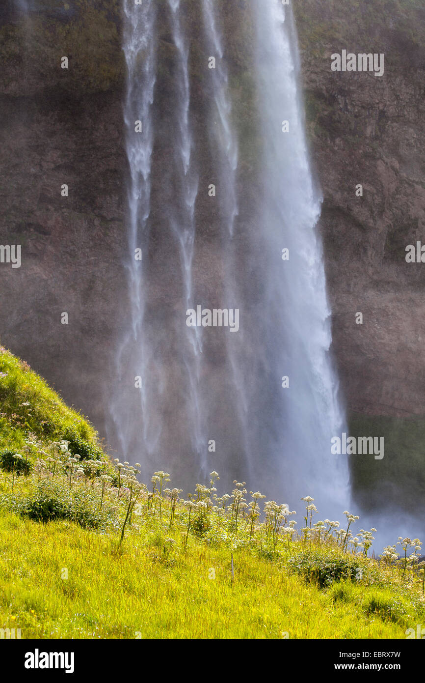 Skógafoss is a waterfall situated on the Skógá River in the south of ...