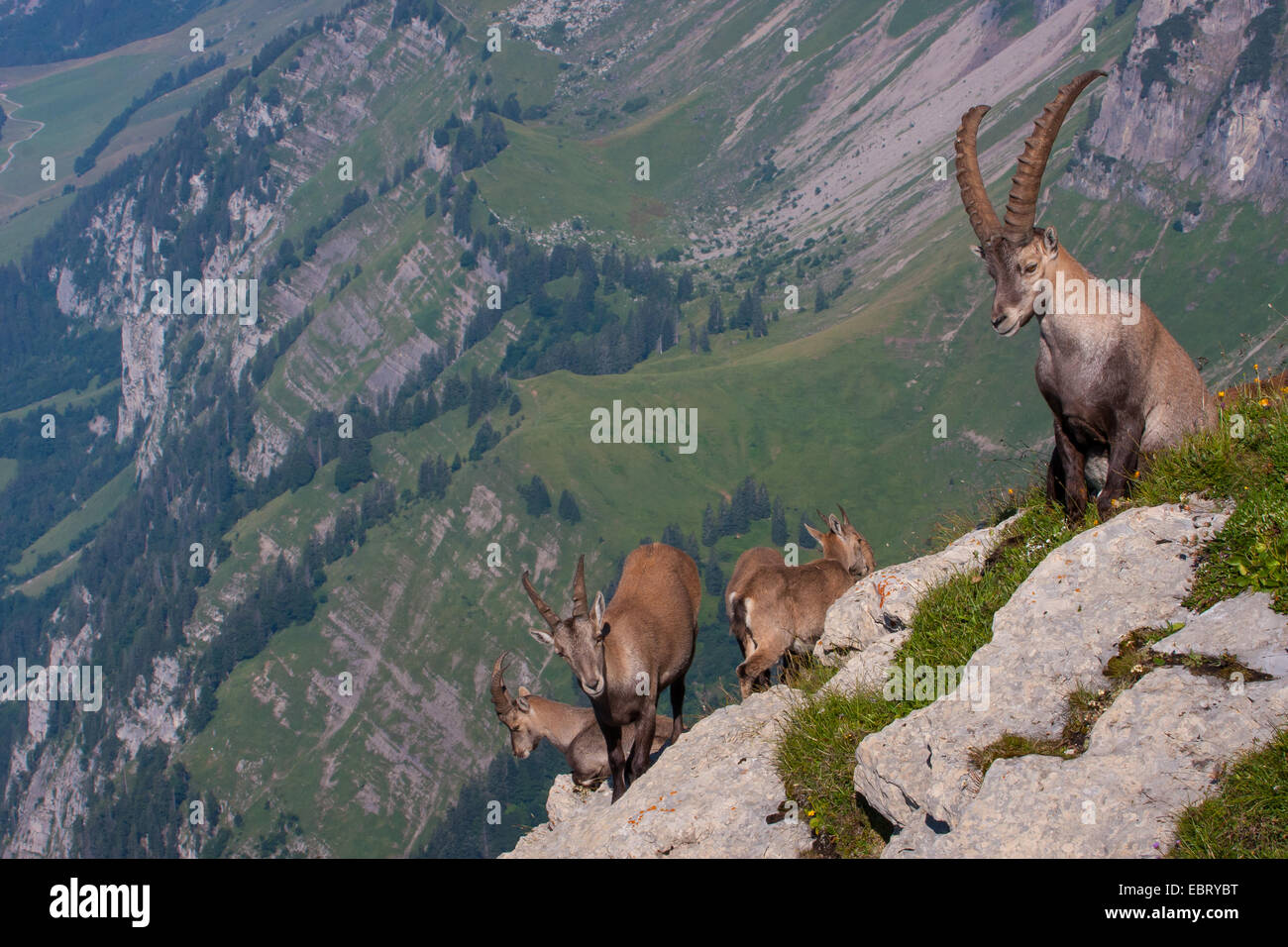Mountain climbing group hi-res stock photography and images - Alamy