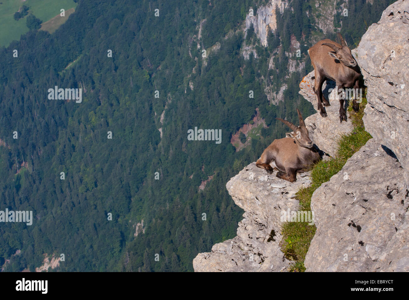 Two ledges hi-res stock photography and images - Alamy