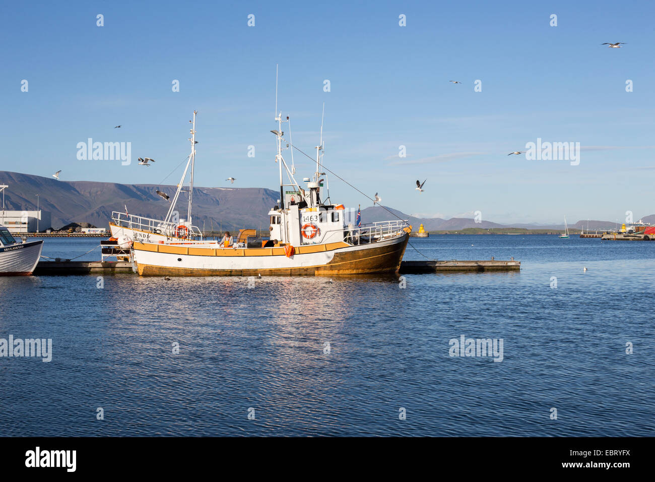 Fishing boats at the harbor, Reykjavik, Iceland Stock Photo - Alamy
