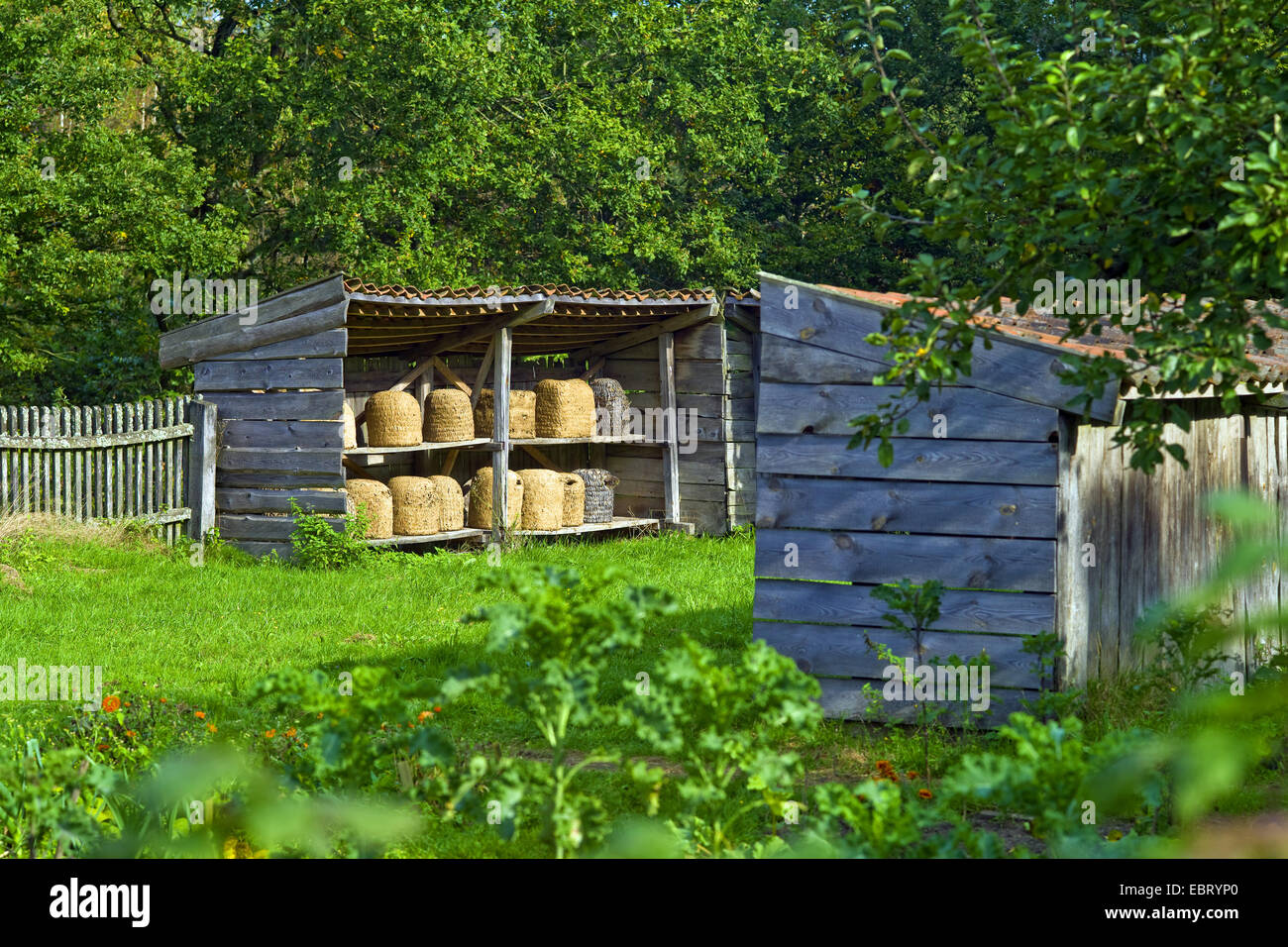 Traditional beehives hi-res stock photography and images - Alamy