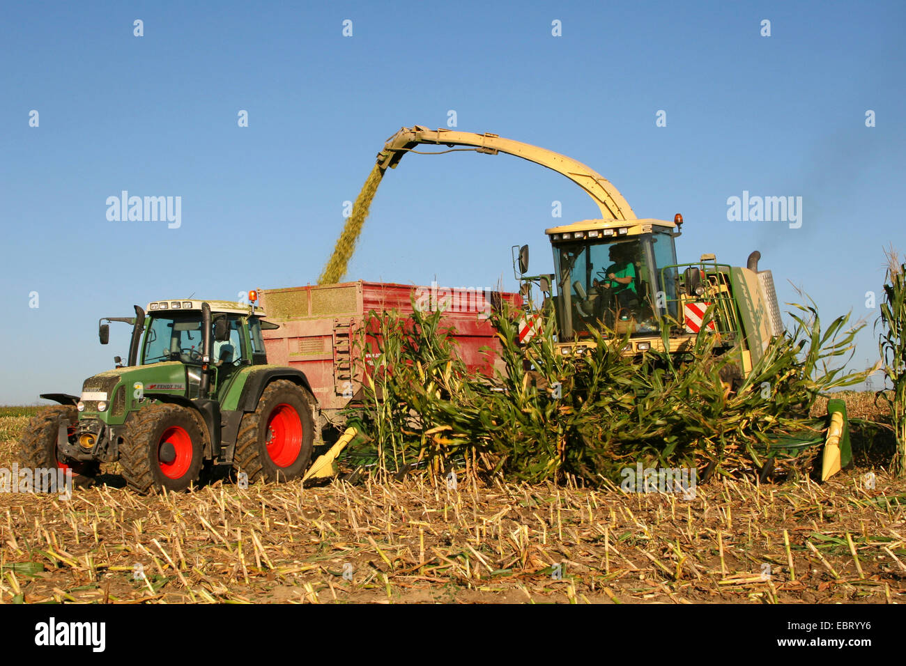 forage harvester at harvest of maize for the purpose of silaging ...